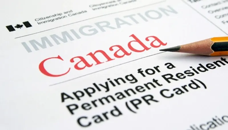 How Does The IRCC Do Background Check A Complete Guide
